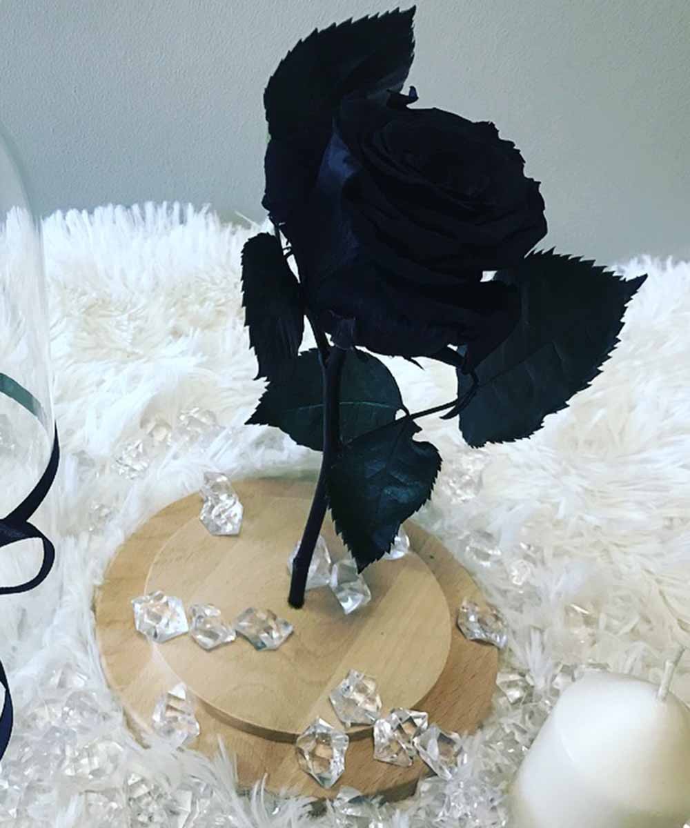 Trandafir Criogenat Negru Cupola Sticla